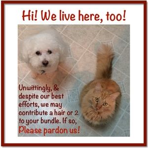 Zara Collections | Tops | Zara Leopard Print Fitted Top M Nwt | Poshmark